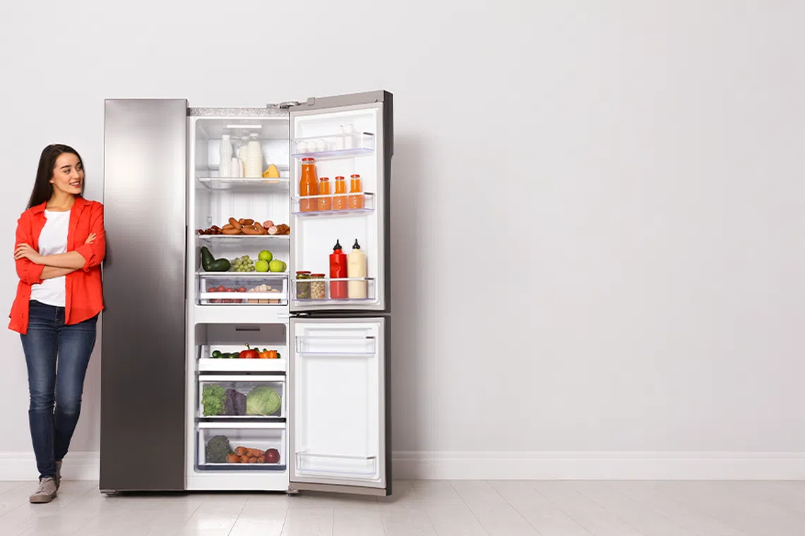 How To Choose The Right Refrigerator For Your Home | The Singapore ...