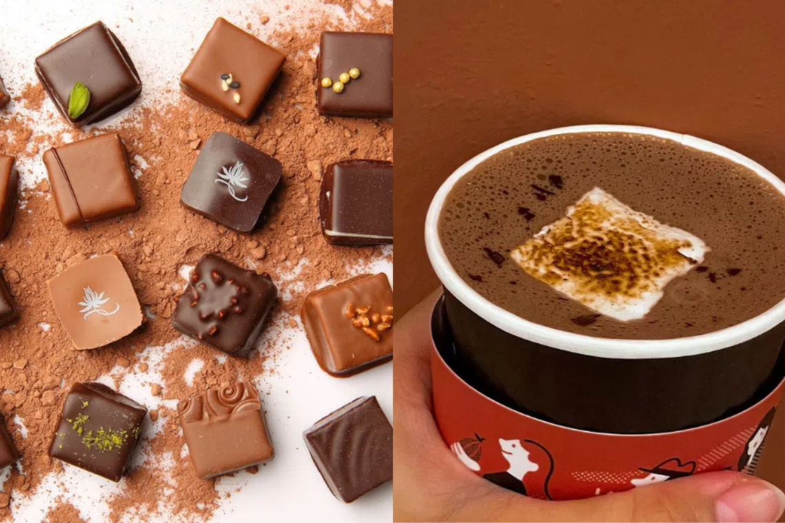 10 Chocolate Shops And Bars In Singapore For Your Cocoa Fix | The ...
