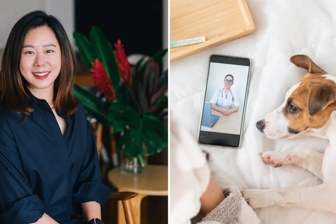 Vet Services Are Going Digital, And This Entrepreneur Is At Its ...