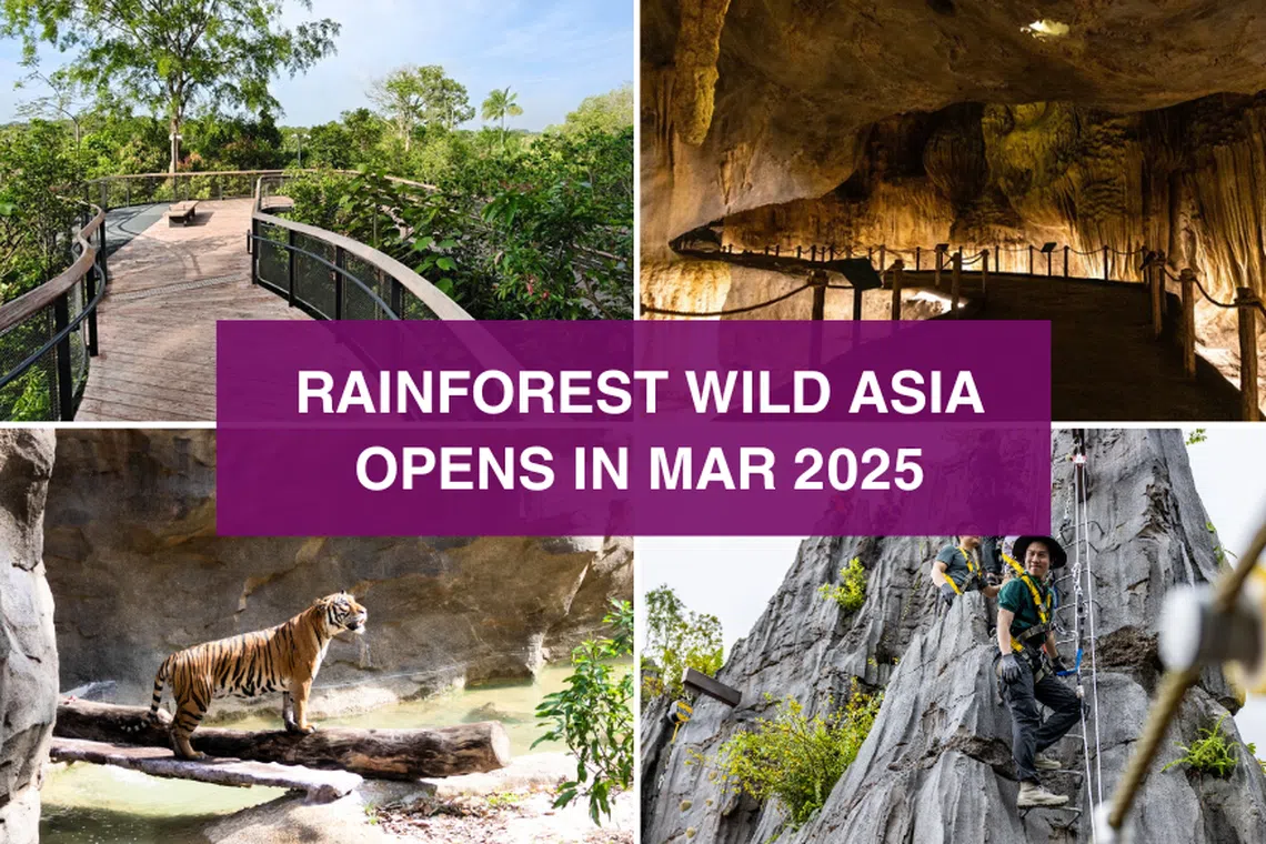 Guide To Rainforest Wild Asia At Mandai Wildlife Reserve | The ...