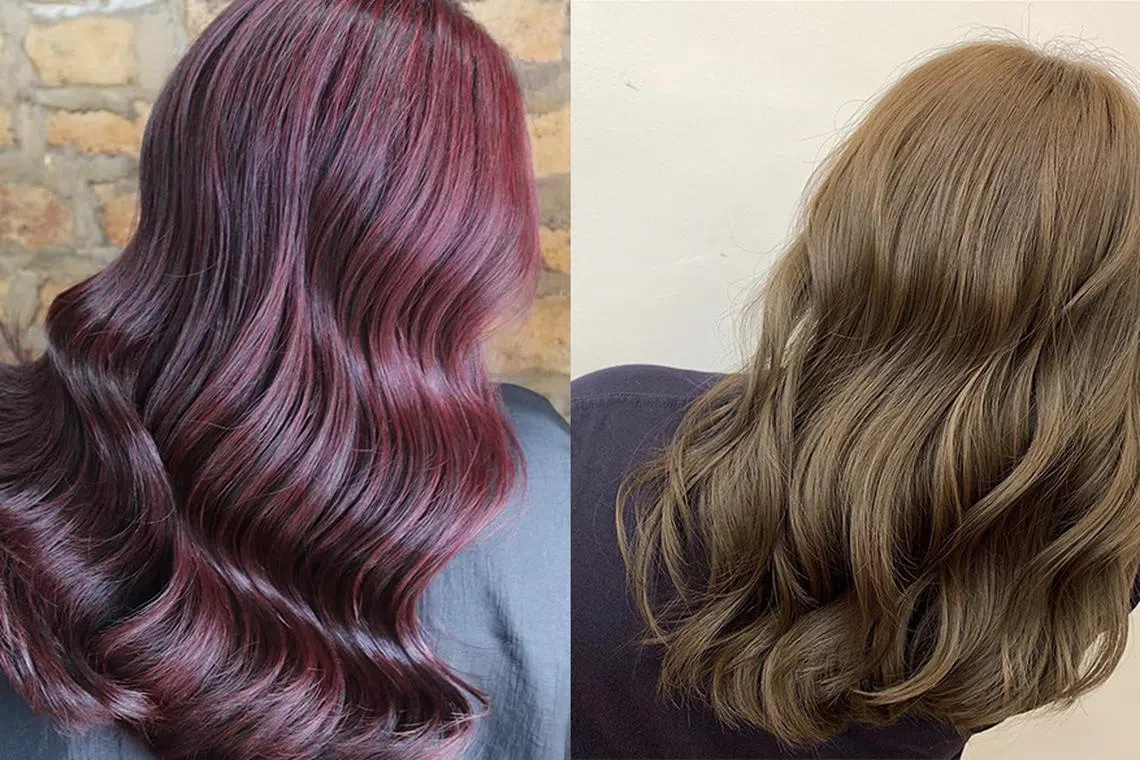12 Gorgeous Hair Colours For Dark Hair That Don't Require Bleaching ...