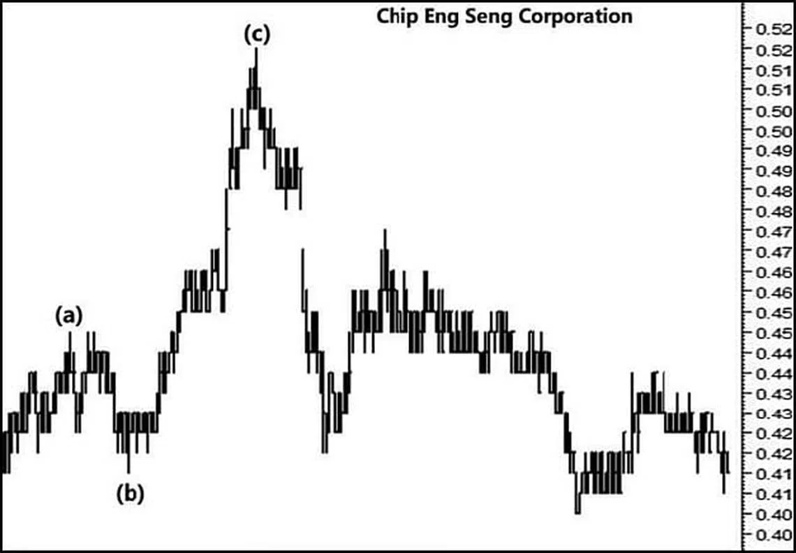 集永成 Chip Eng Seng Corporation