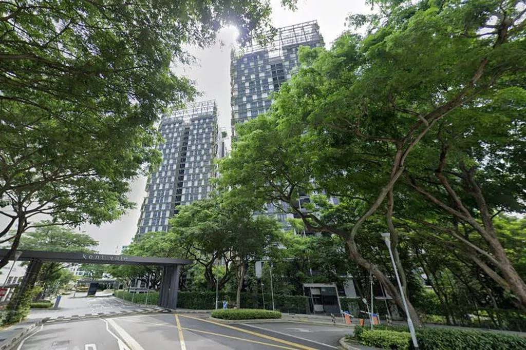 涉吸食大麻 国大助理教授被控 | 联合早报
