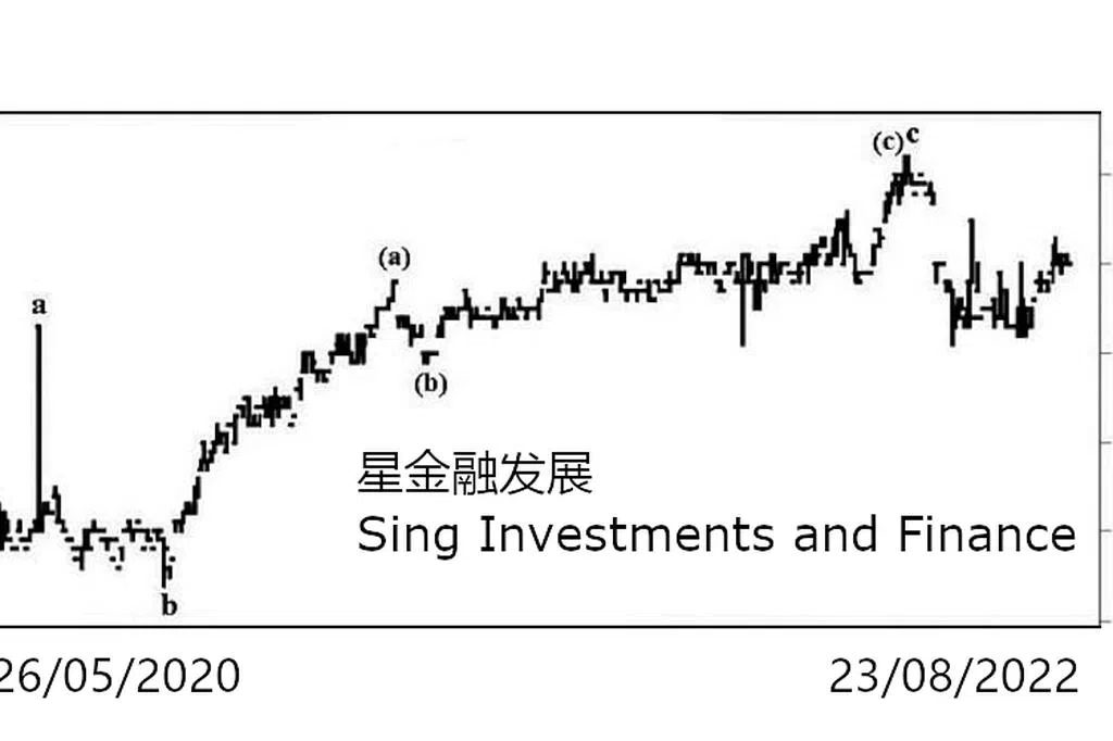 星金融发展 Sing Investments and Finance | 联合早报