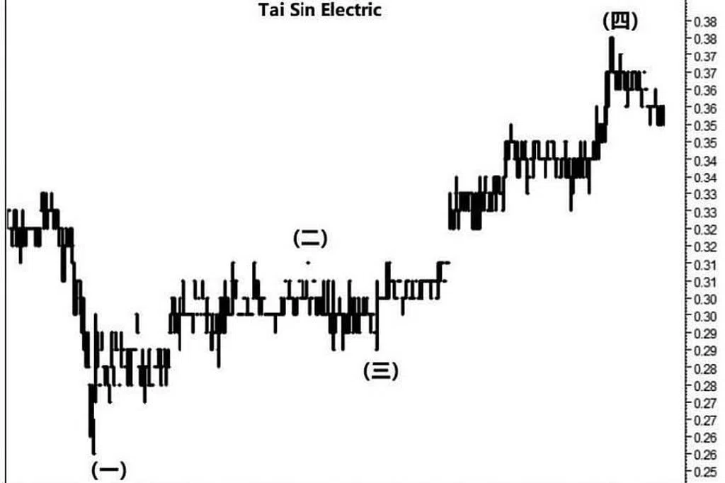 台新电缆 Tai Sin Electric | 联合早报