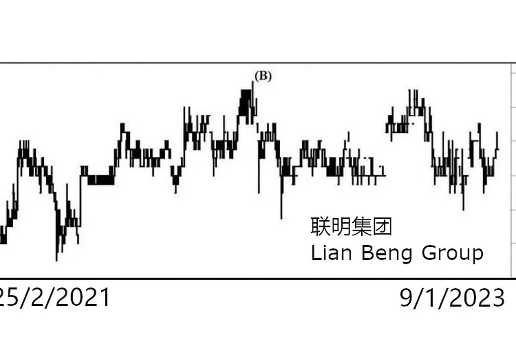 联明集团 Lian Beng Group | 联合早报